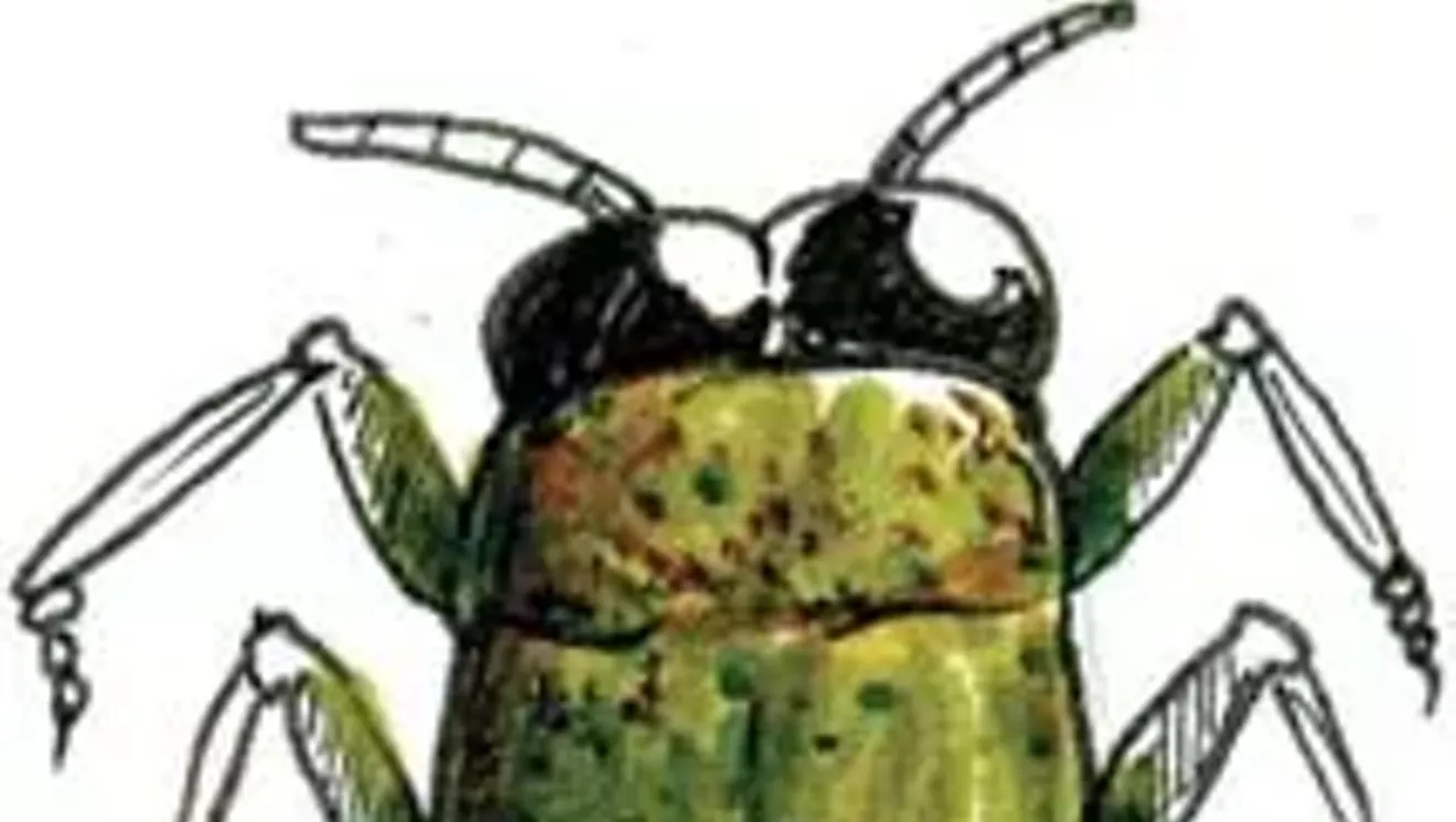 The approaching menace | Illinois Times