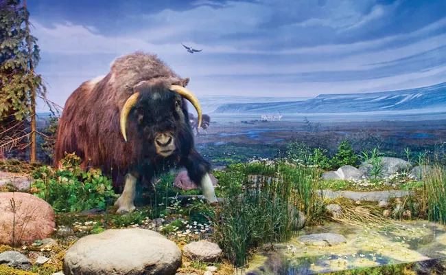 Illinois State Museum | Illinois Times