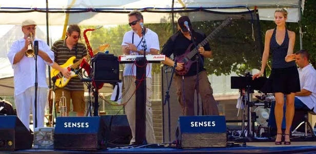 David Cain, musician, artist and multimediac | Illinois Times
