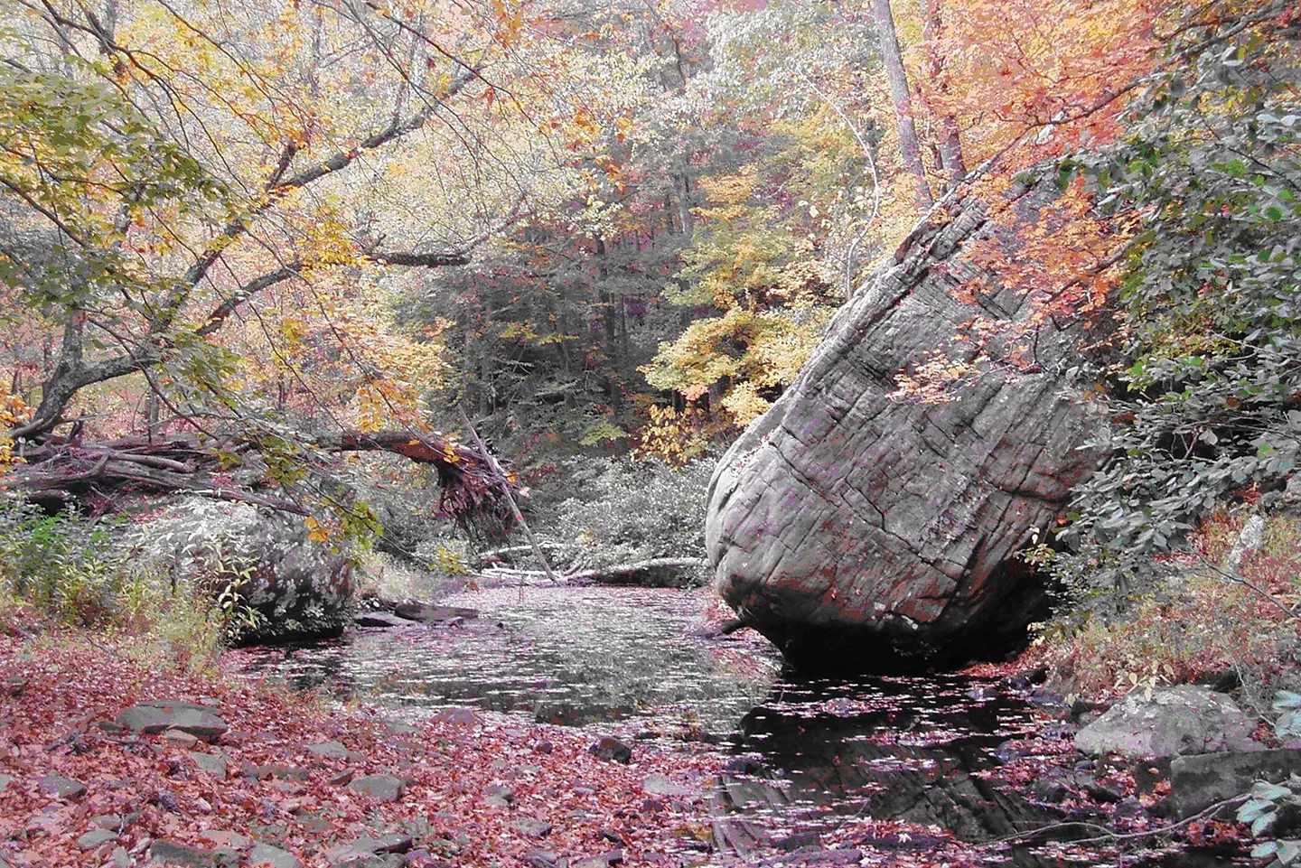 More ideas for the beautiful Shawnee Hills | Opinion | Illinois Times