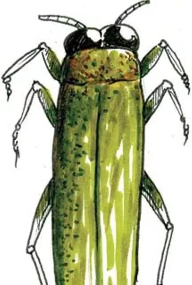 The approaching menace | Illinois Times